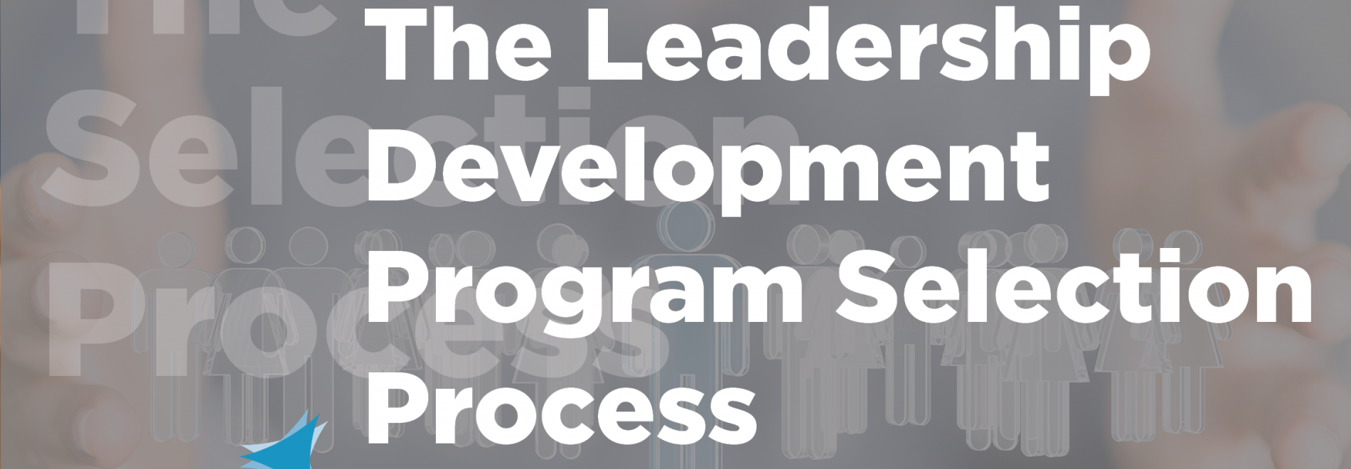 Markon Leadership Development: The Leadership Development Program ...
